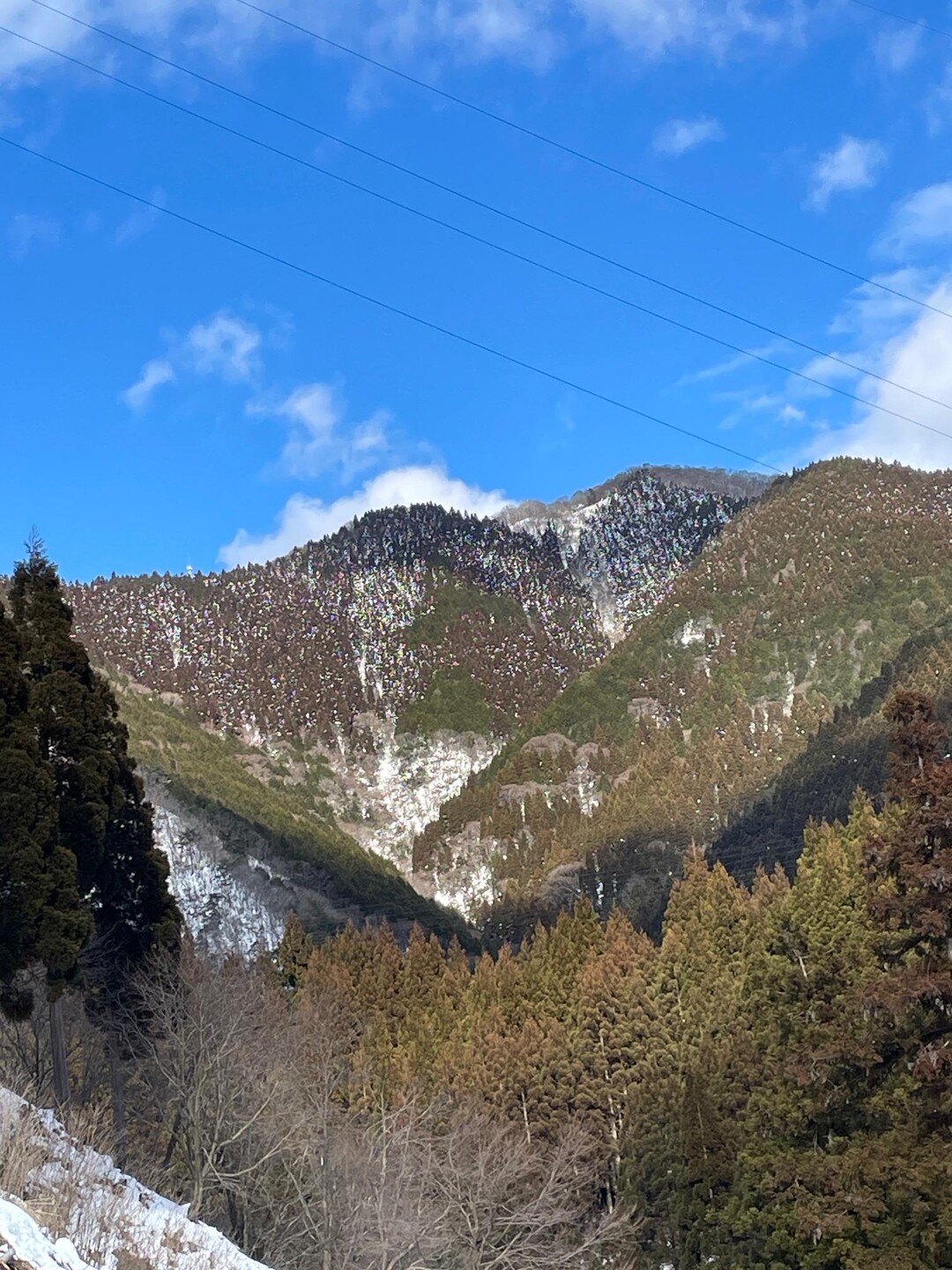 小津権現山・花房山-2024-01-27 / golfbakaさんの小津権現山・花房山の活動データ | YAMAP / ヤマップ