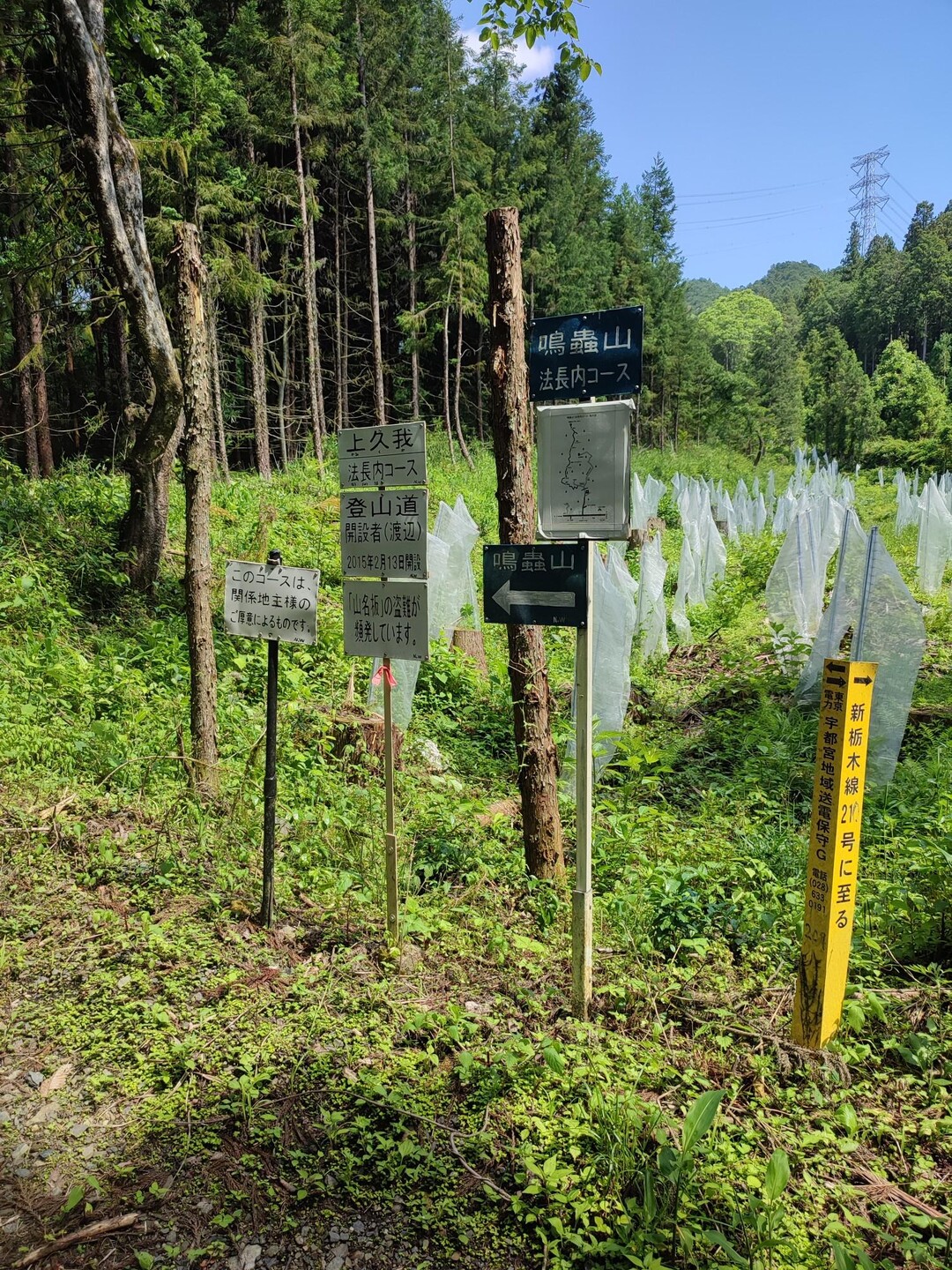 鳴蟲山 / UK.eさんの鳴蟲山・羽賀場山の活動データ | YAMAP / ヤマップ