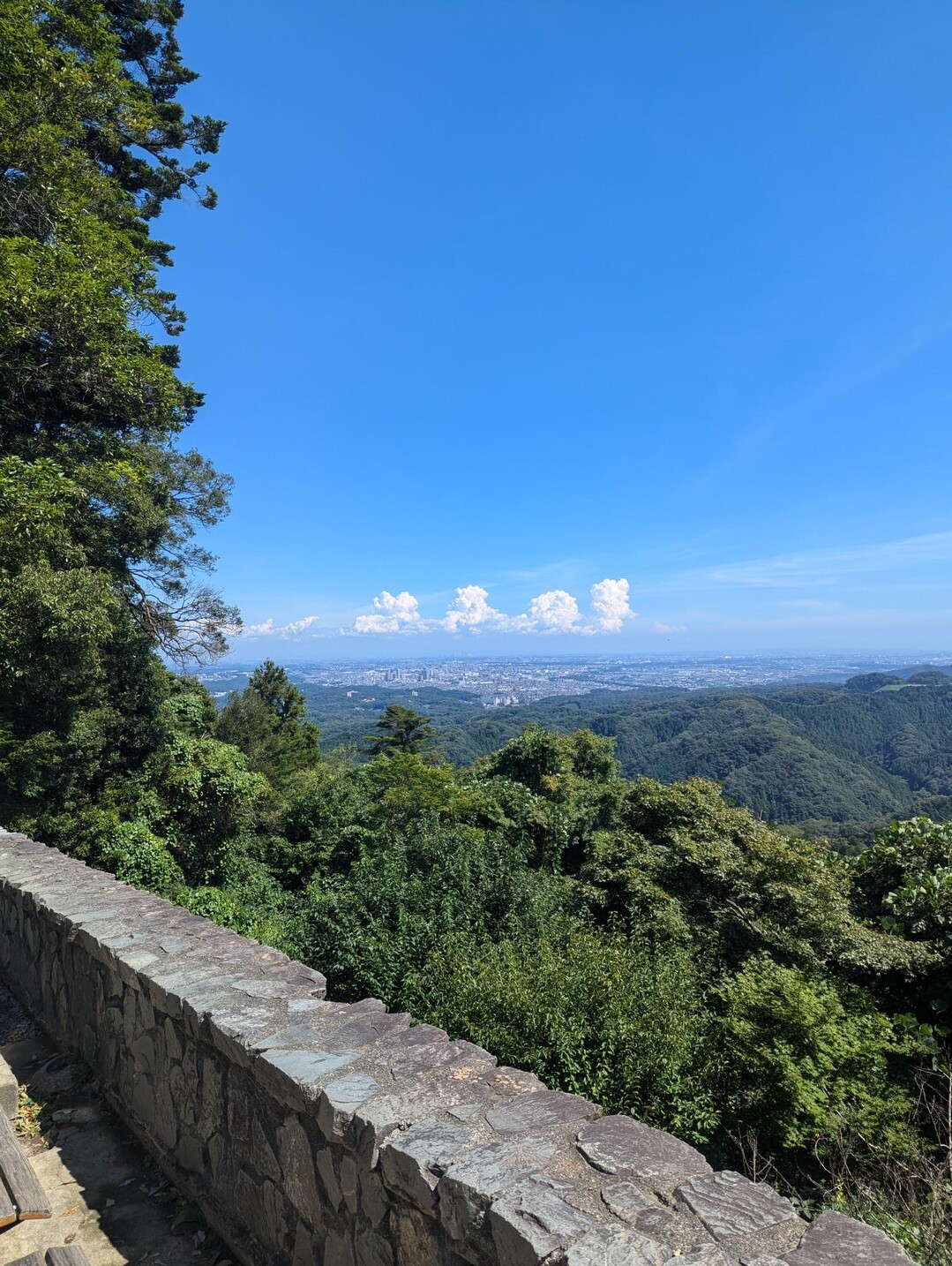 高尾山だいたい全ルート 蛇滝口BS〜高尾山口駅 / strさんの高尾山・陣馬山・景信山の活動データ | YAMAP / ヤマップ