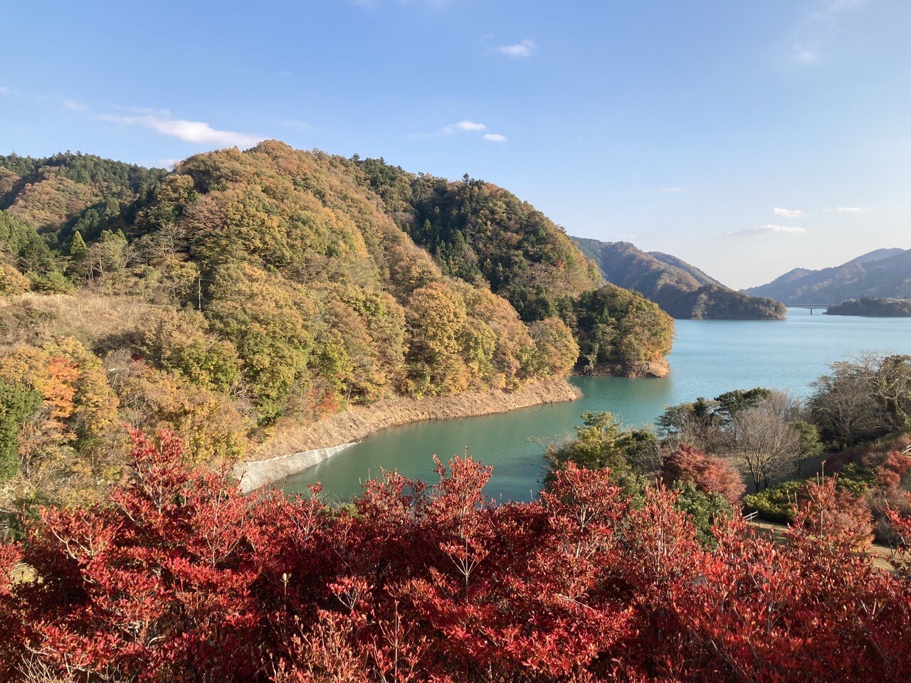 宮ヶ瀬ダム周辺の紅葉状況🍁 / SSさんのモーメント | YAMAP / ヤマップ