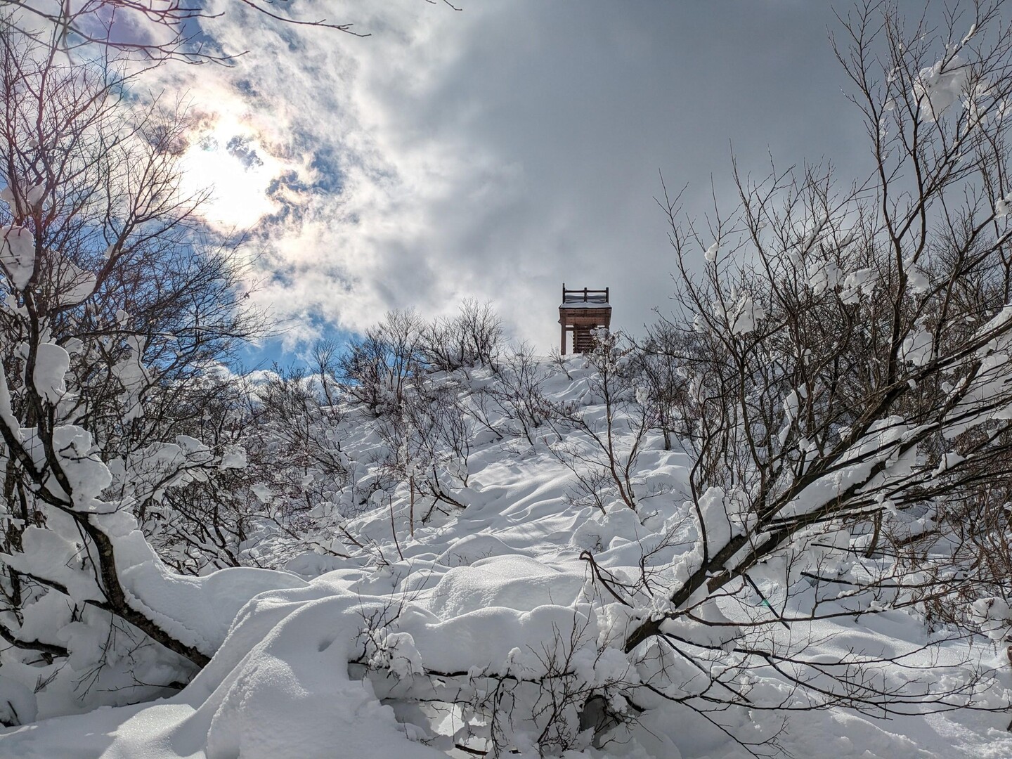 北尾根P1018~貝月山 / TJさんの貝月山の活動日記 | YAMAP / ヤマップ
