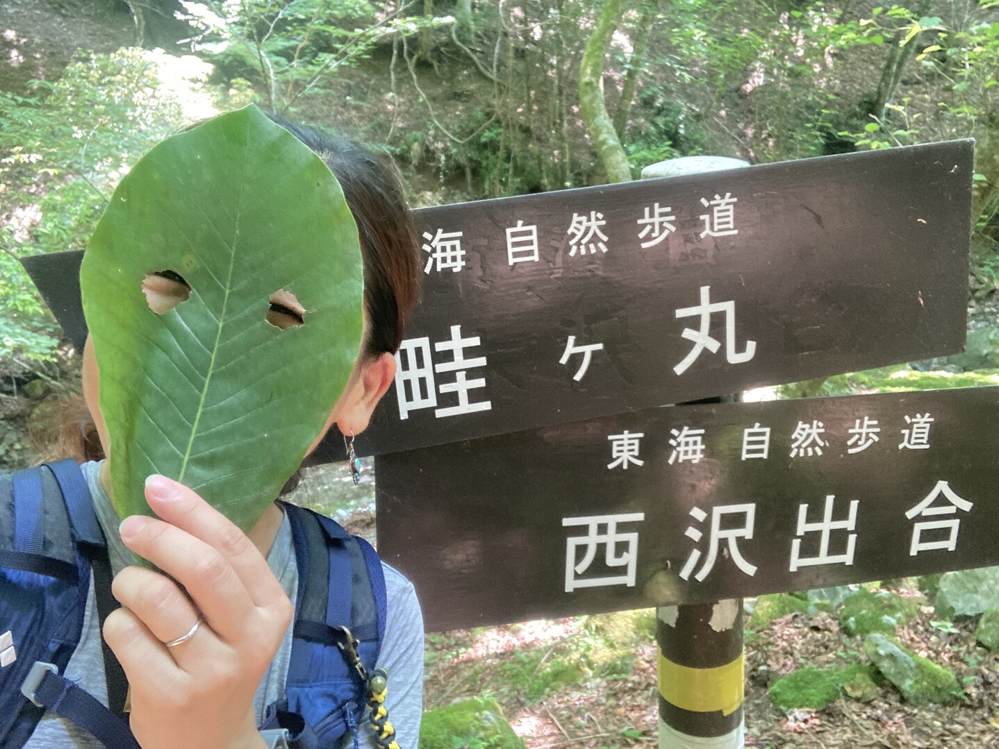好きです💕西丹沢 畦ヶ丸 / kosumosu.mariさんの大室山・畦ヶ丸山・菰釣山の活動日記 | YAMAP / ヤマップ
