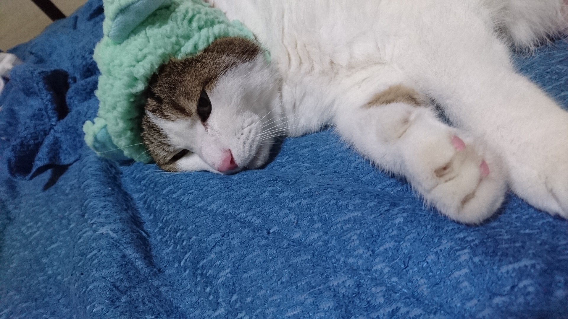 yuniiiのページ | YAMAP / ヤマップ