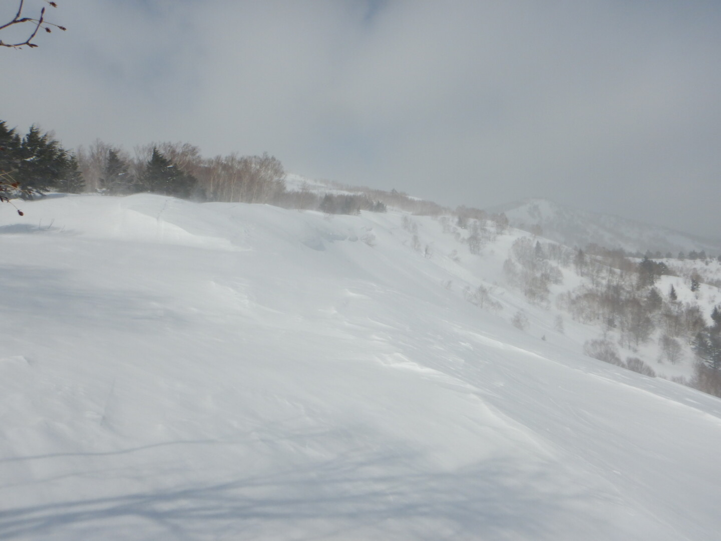 八幡平BC 2022-03-20 / もろきゅうさんの岩手山・八幡平・安比高原 50km トレイルの活動データ | YAMAP / ヤマップ