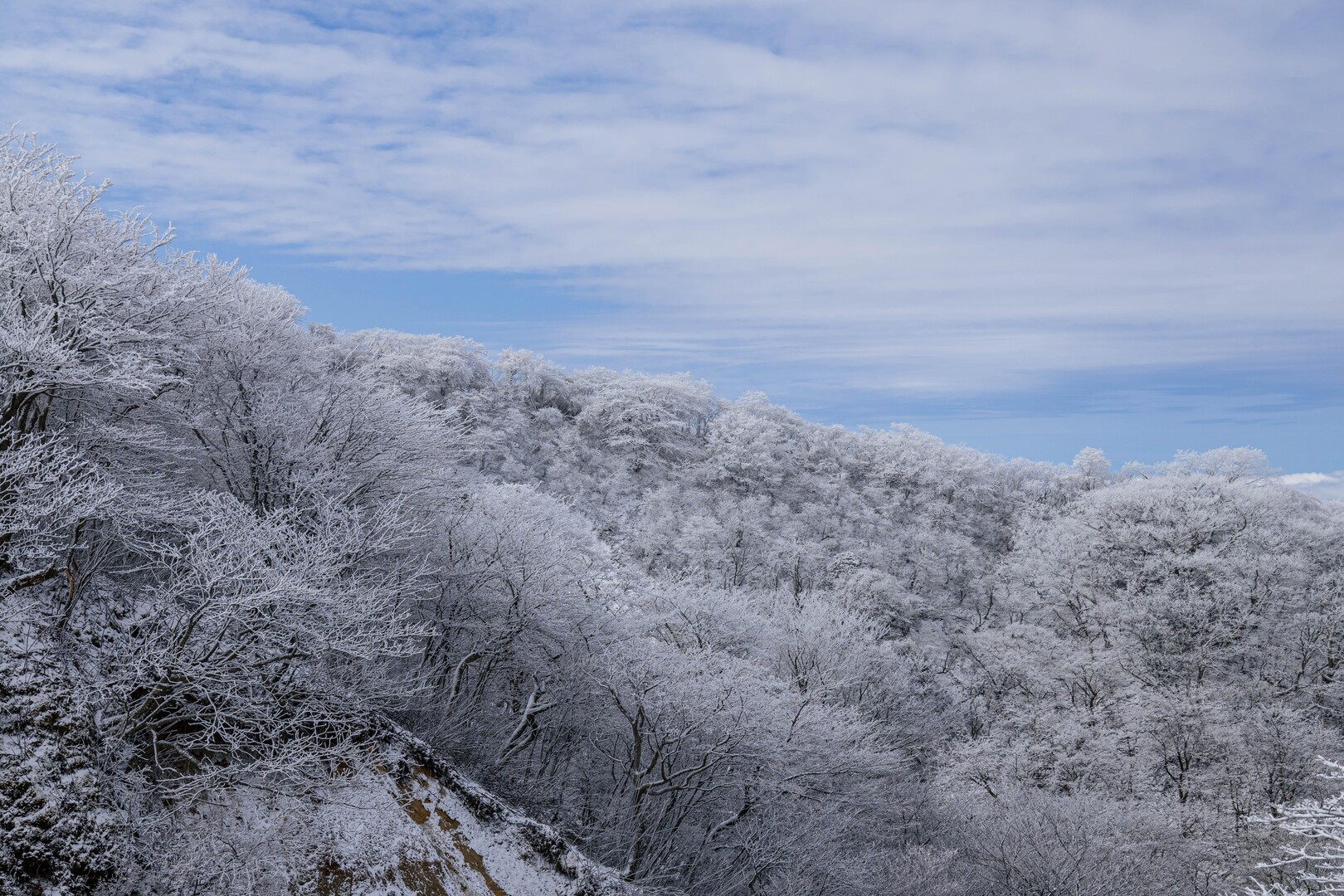 今年の気候はよくわからないですね~ / kinjunさんの九重山（久住山）・大船山・星生山の活動データ | YAMAP / ヤマップ