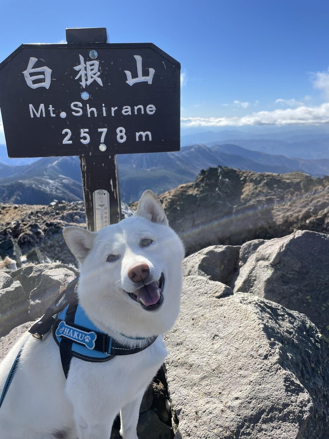 日光白根山 / HAKU&NAOさんの日光白根山・五色山・錫ヶ岳の活動データ | YAMAP / ヤマップ