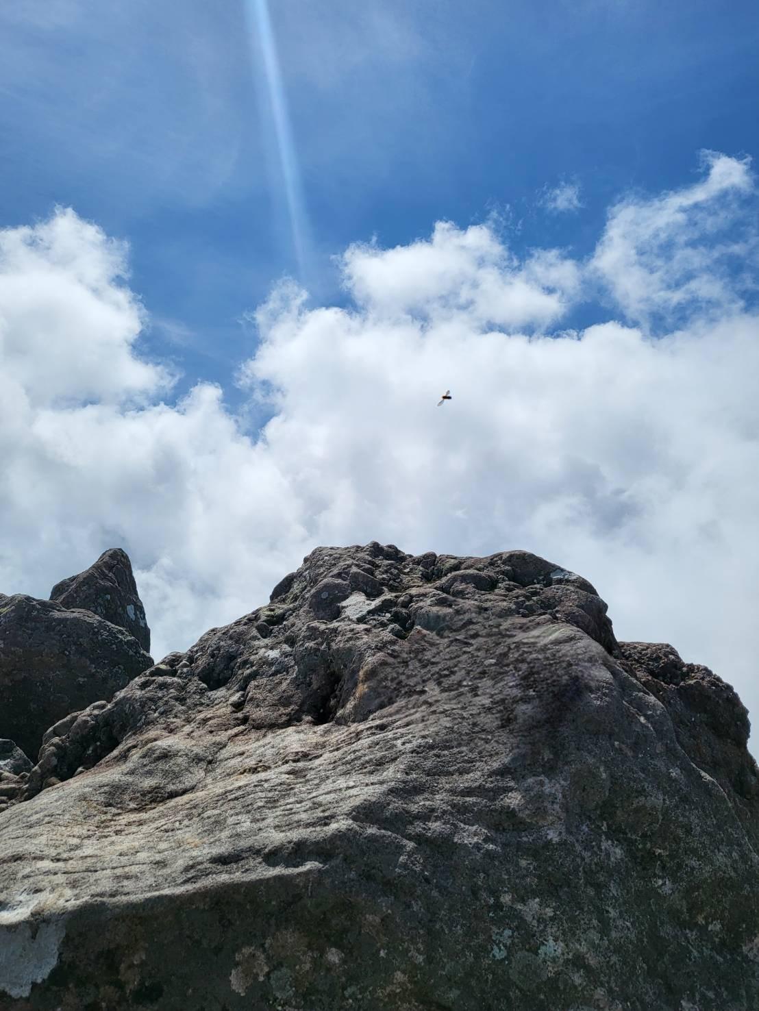 u-coのページ | YAMAP / ヤマップ