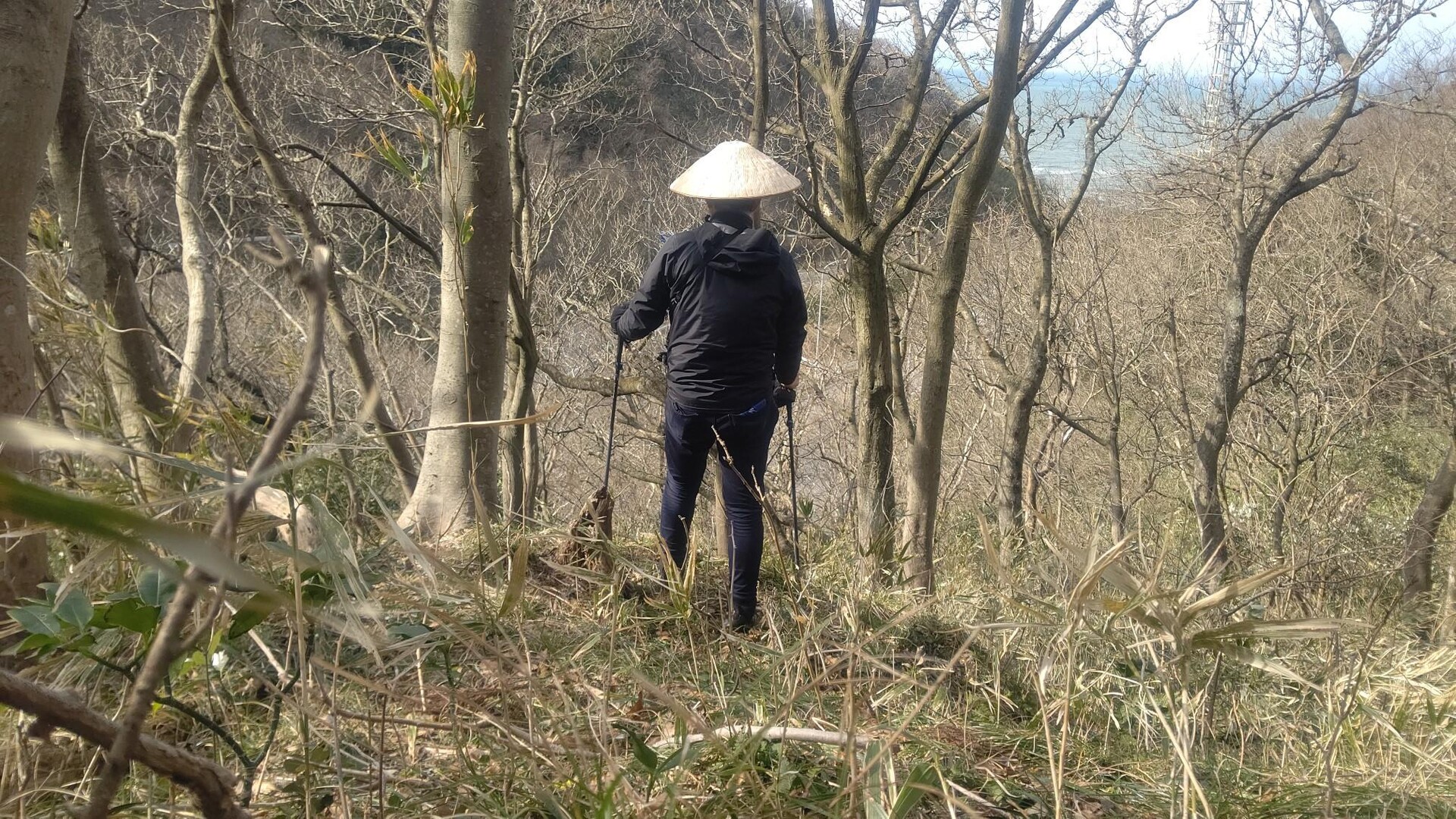 五福TN上尾根藪刈り / やっしいさんの角田山の活動データ | YAMAP / ヤマップ