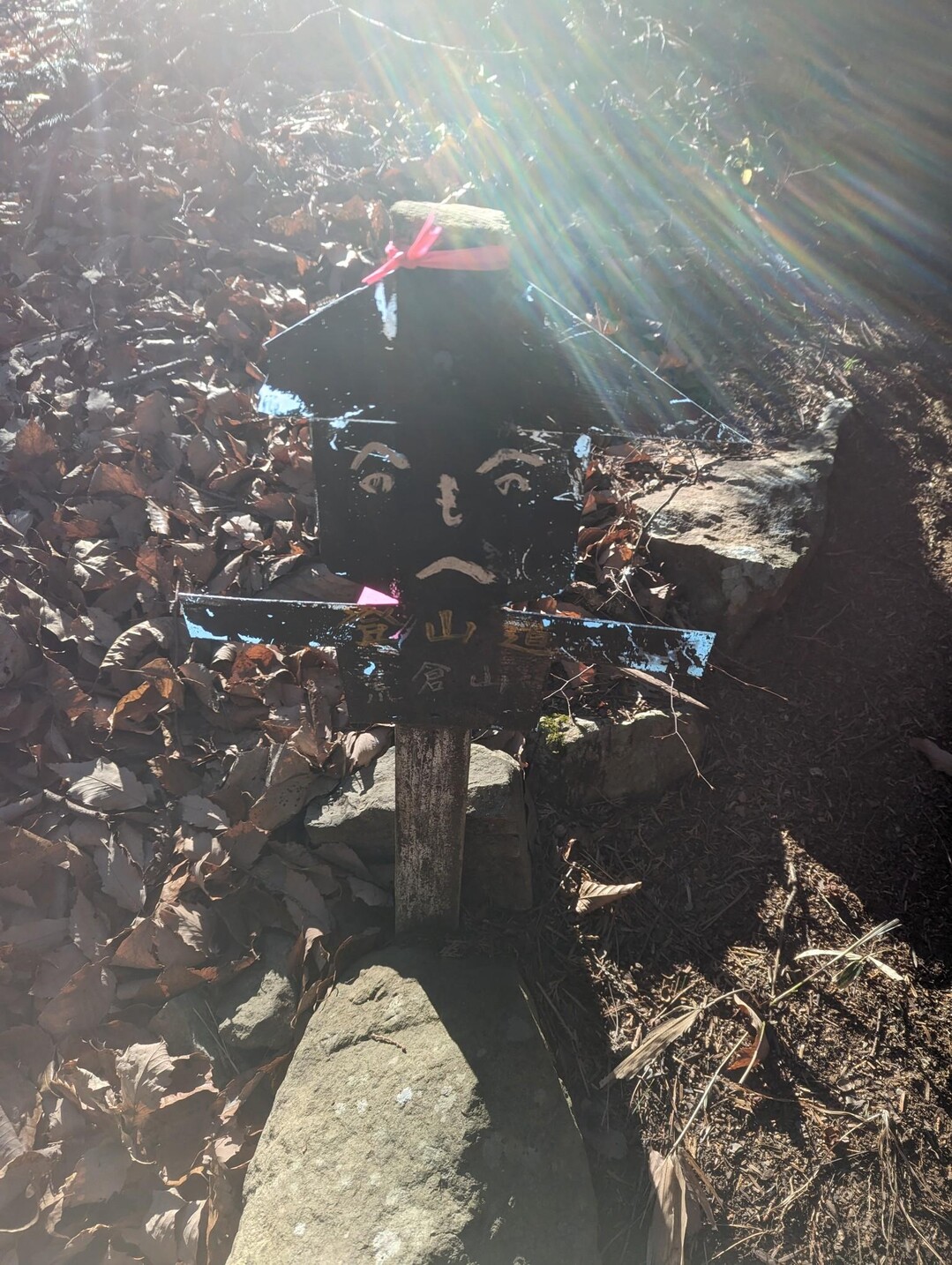 荒倉山。 登山道は綺麗に整備されてて歩き... / y☆shiさんのモーメント | YAMAP / ヤマップ