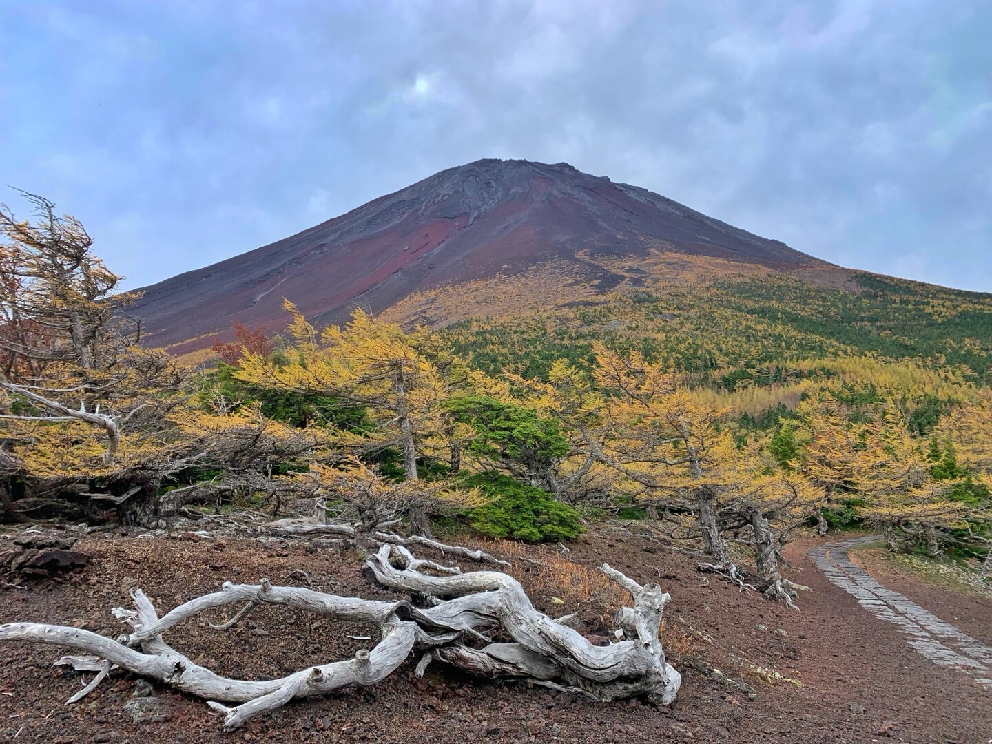最高の紅葉🍁YO!YO!KO-YO🎶SAIKO-YO😎御庭👍 / Taka♪さんの富士山の活動データ | YAMAP / ヤマップ
