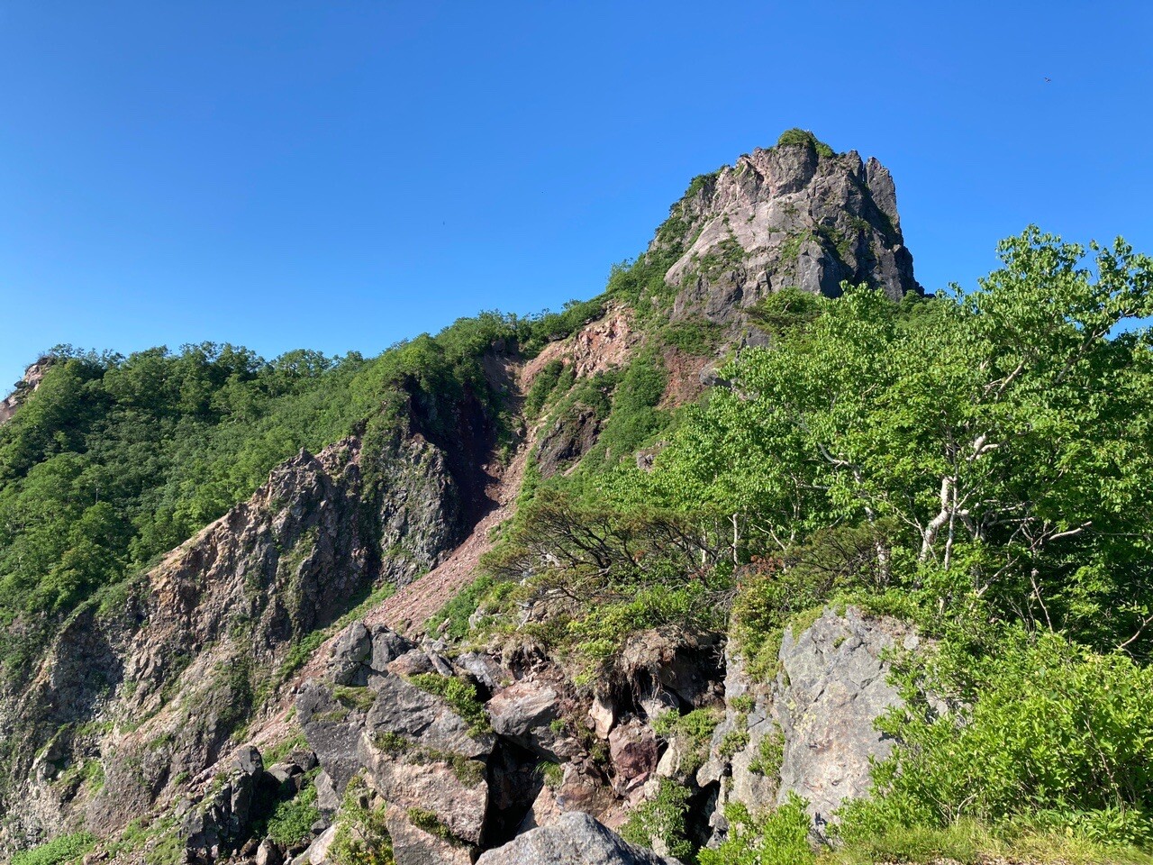 恵庭岳 二人合わせて140歳無事登頂🎉 / 2525さんの恵庭岳の活動データ | YAMAP / ヤマップ
