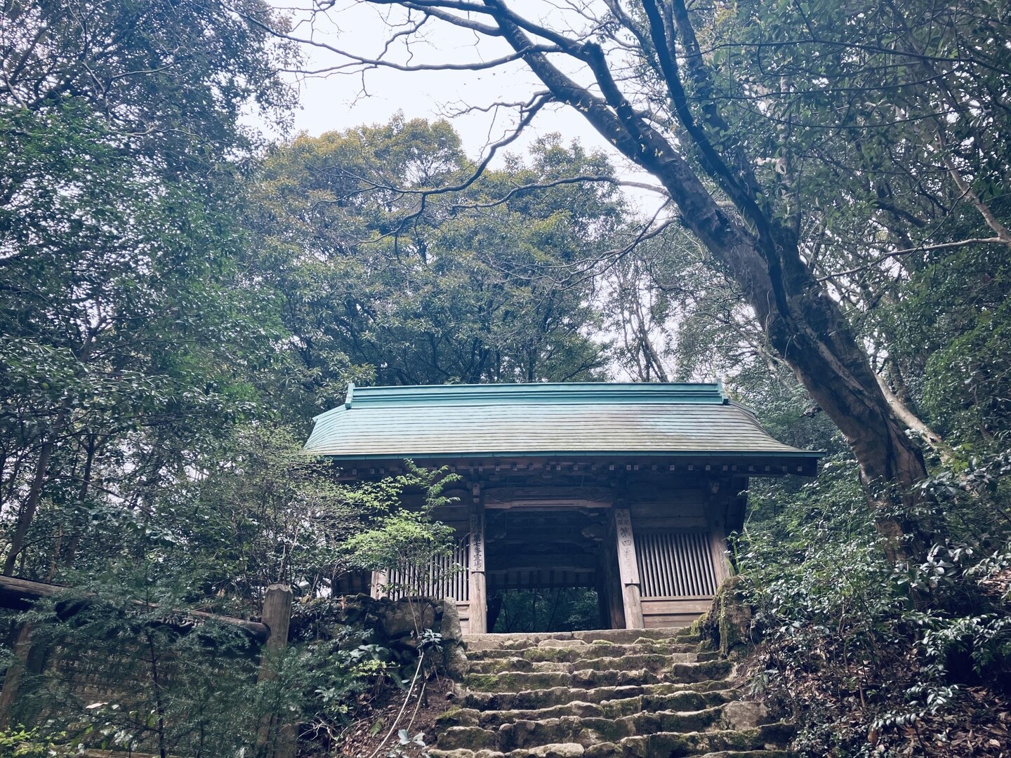 リハビリ2 極楽寺山 / kamexさんの極楽寺山の活動データ | YAMAP / ヤマップ
