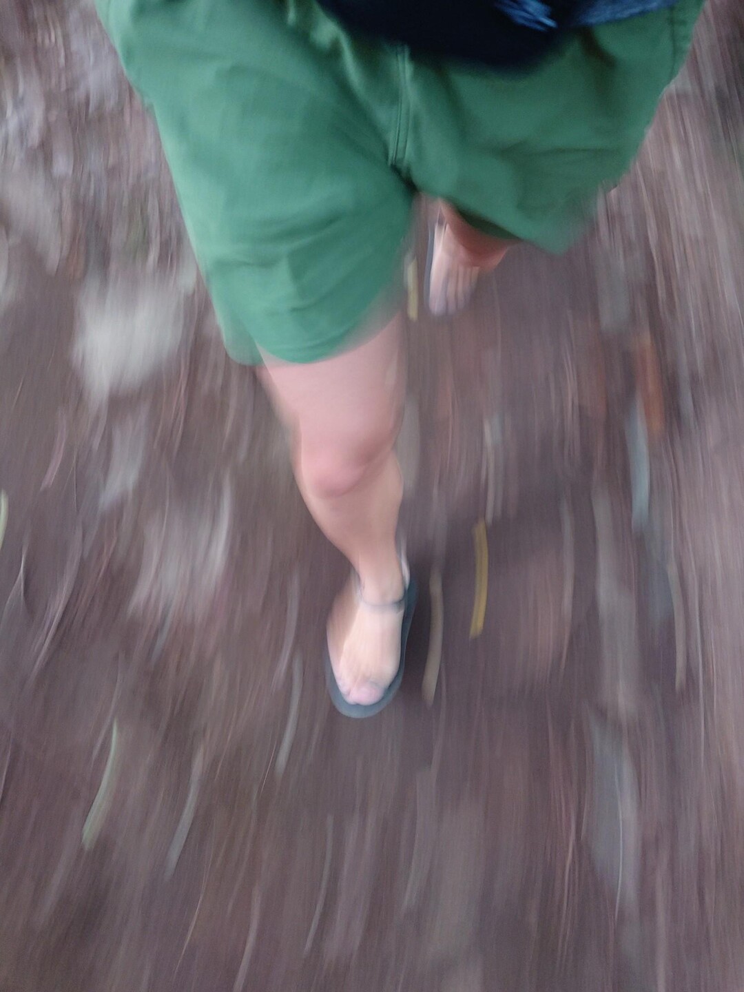 吾妻山VK 23分登頂 / ta2さんの鳴神山・吾妻山の活動データ | YAMAP / ヤマップ