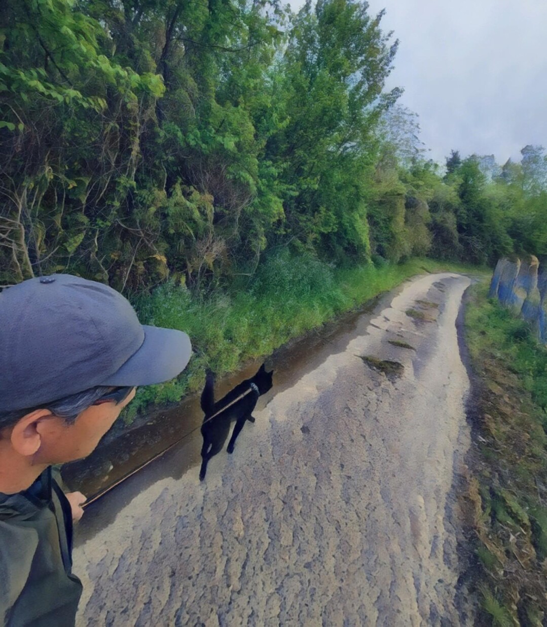 baseのページ | YAMAP / ヤマップ