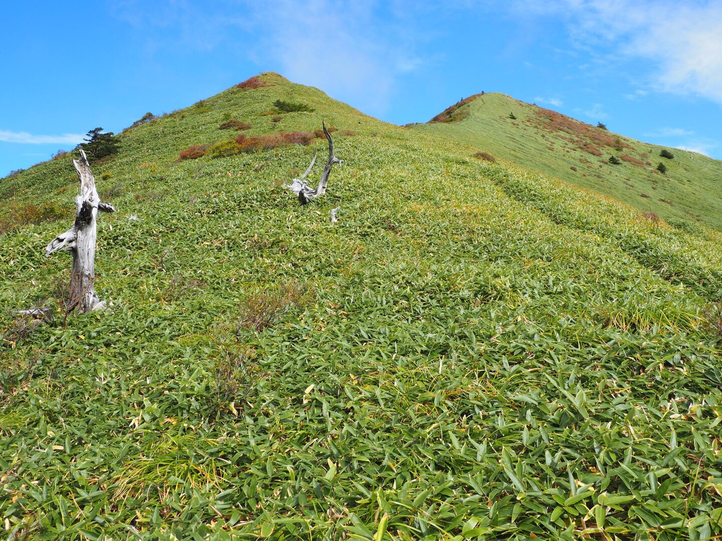 堂ヶ森・二ノ森・鞍瀬ノ頭 / morimoriさんの瓶ヶ森・伊予富士の活動データ | YAMAP / ヤマップ