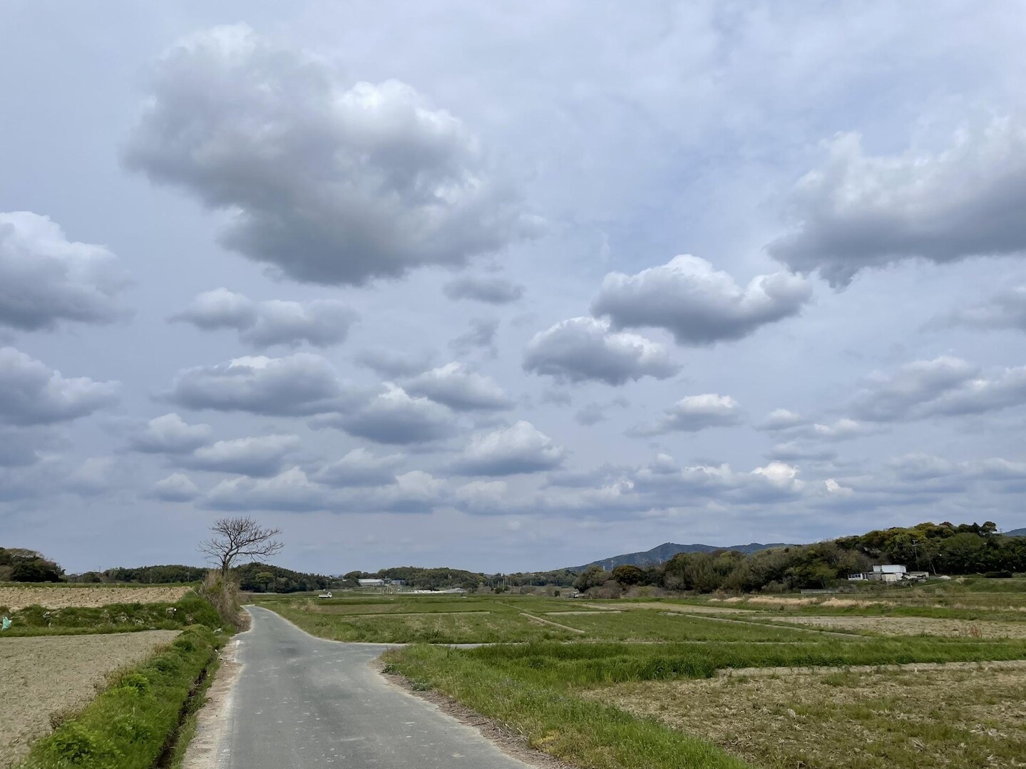 自然科学っておもしろい ️ ある高さ以上... / mattさんのモーメント | YAMAP / ヤマップ