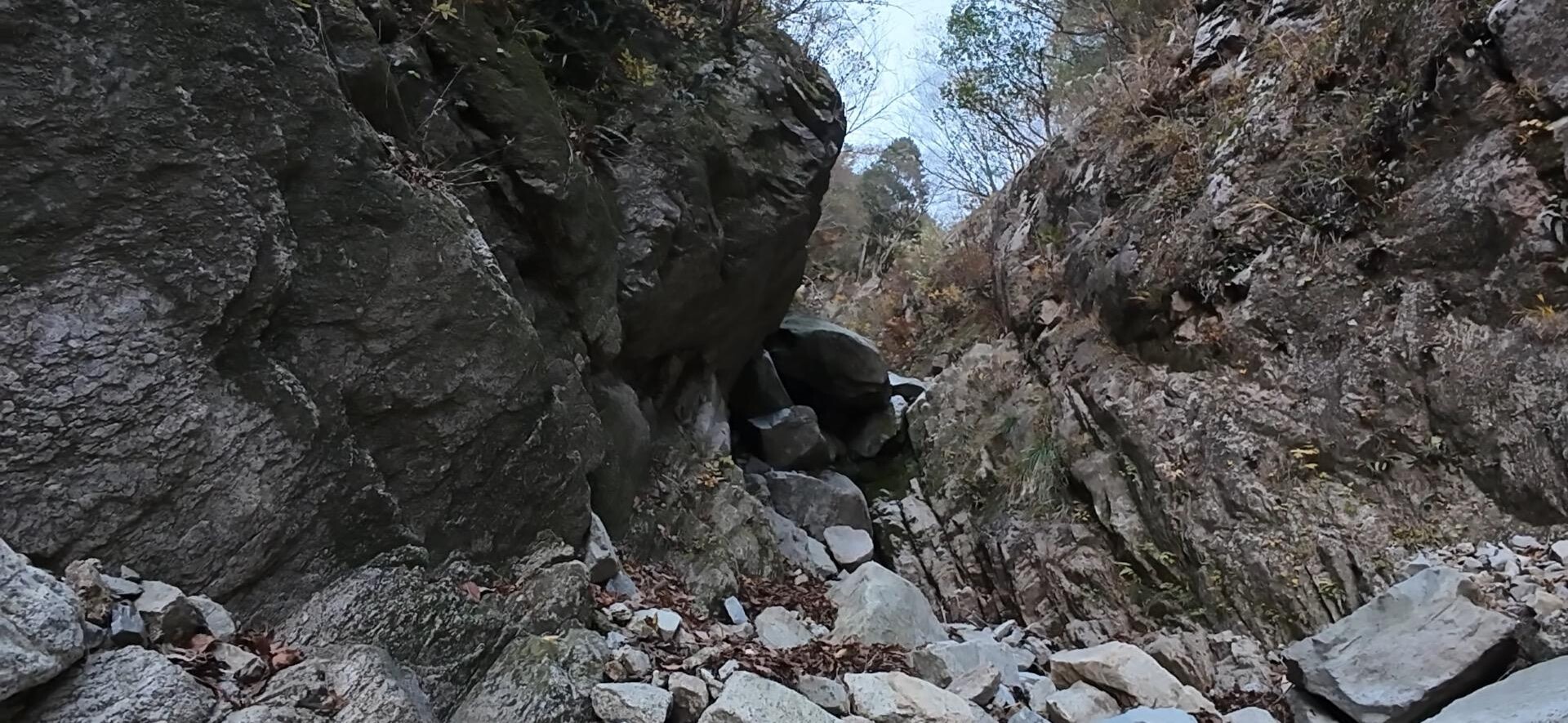 無雪期堂満岳中央陵 redo climb / maaasanさんの比良山地・武奈ヶ岳・釈迦岳の活動データ | YAMAP / ヤマップ