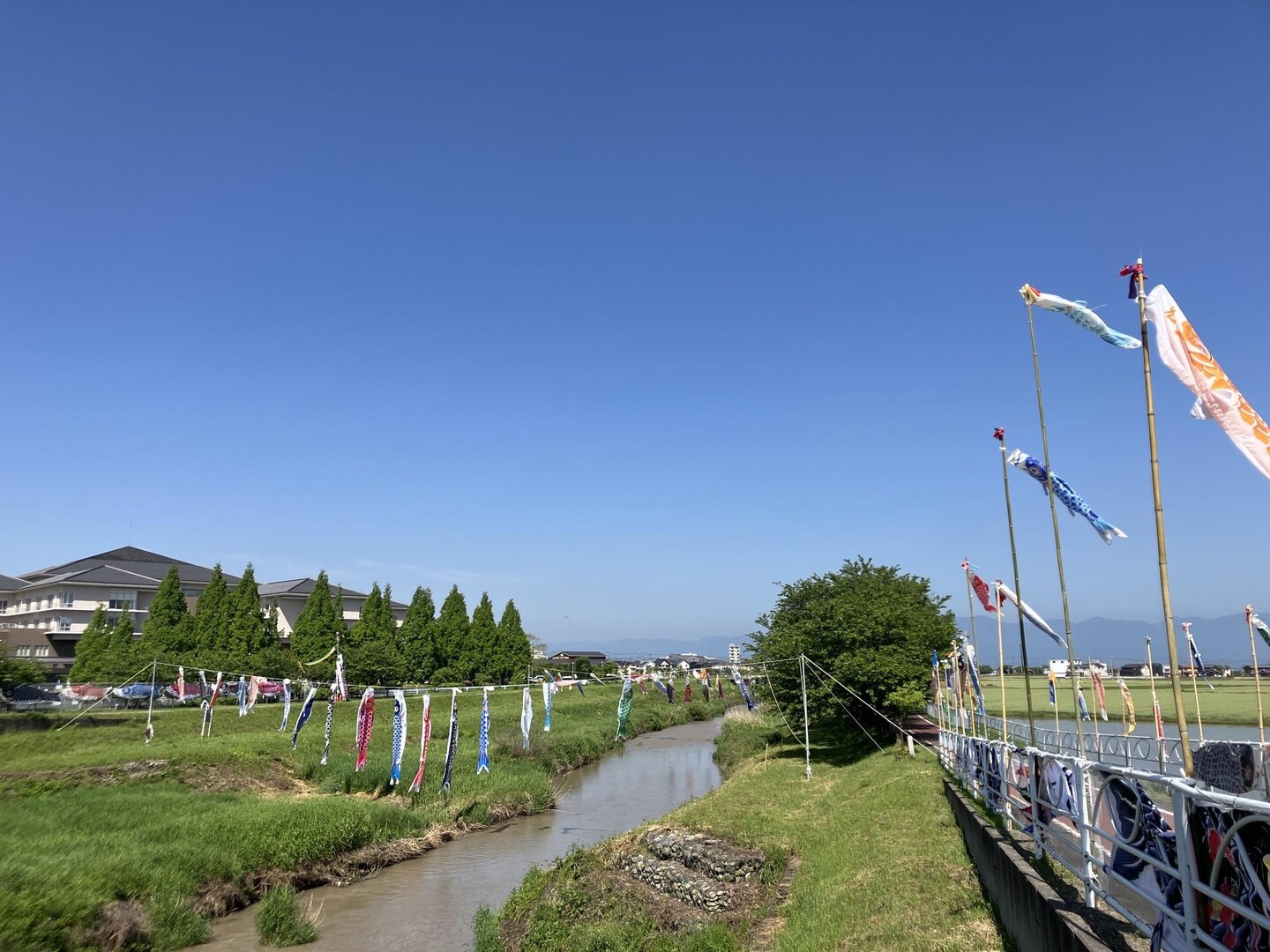 びわ湖よし笛ロードをウォーキングしてきま... / Naokoさんのモーメント | YAMAP / ヤマップ