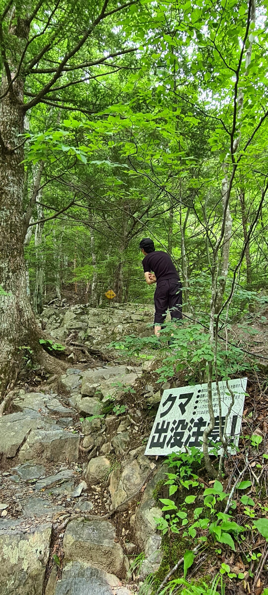 南アルプス南部の玄関口 畑薙吊り橋ま... / konkyunさんのモーメント | YAMAP / ヤマップ