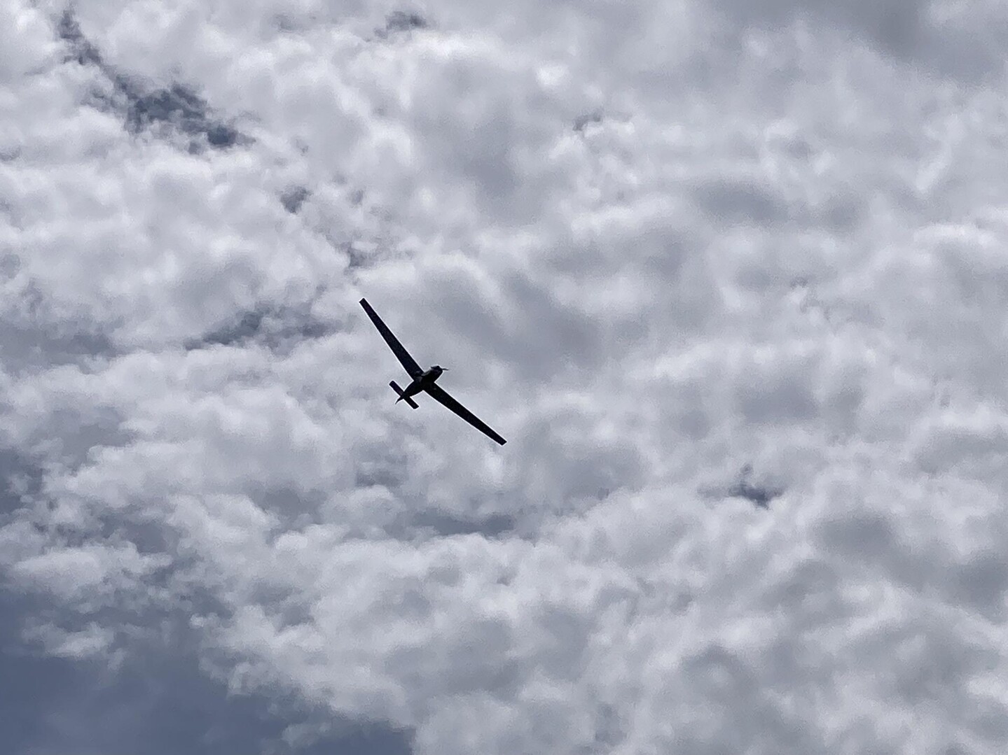 筑波山（女体山）② 20230528 / ryotaさんの筑波山の活動データ | YAMAP / ヤマップ