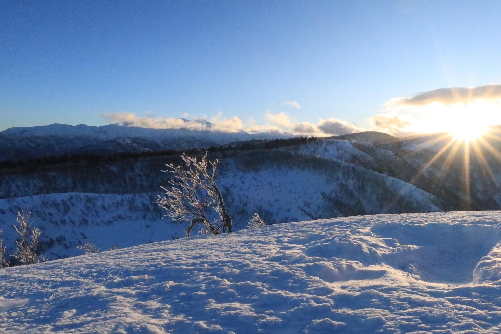 取立山 / SZさんの取立山の活動データ | YAMAP / ヤマップ
