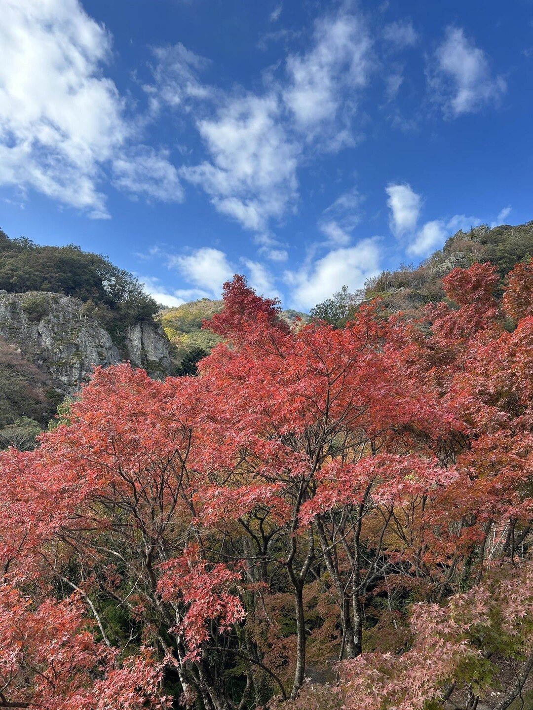 神懸山(寒霞渓)三笠山 / Sa-yu-rinさんの小豆島・星ヶ城山・皇踏山の活動データ | YAMAP / ヤマップ