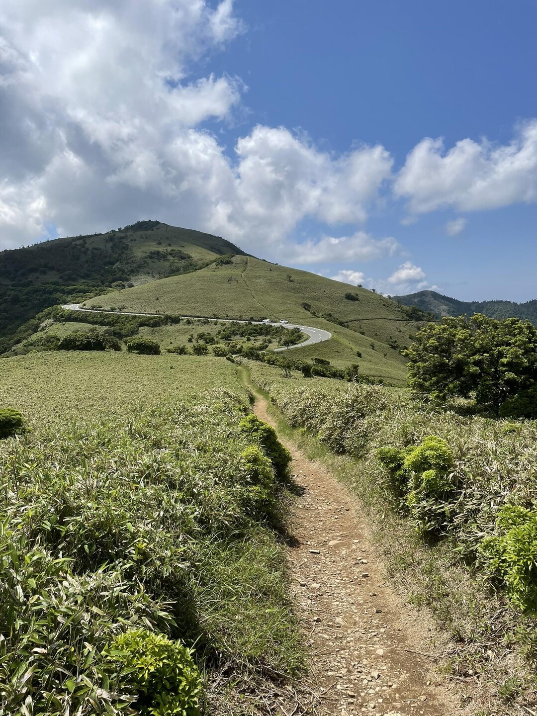 金冠山・小達磨山・達磨山 / mas3さんの金冠山・達磨山・葛城山の活動データ | YAMAP / ヤマップ