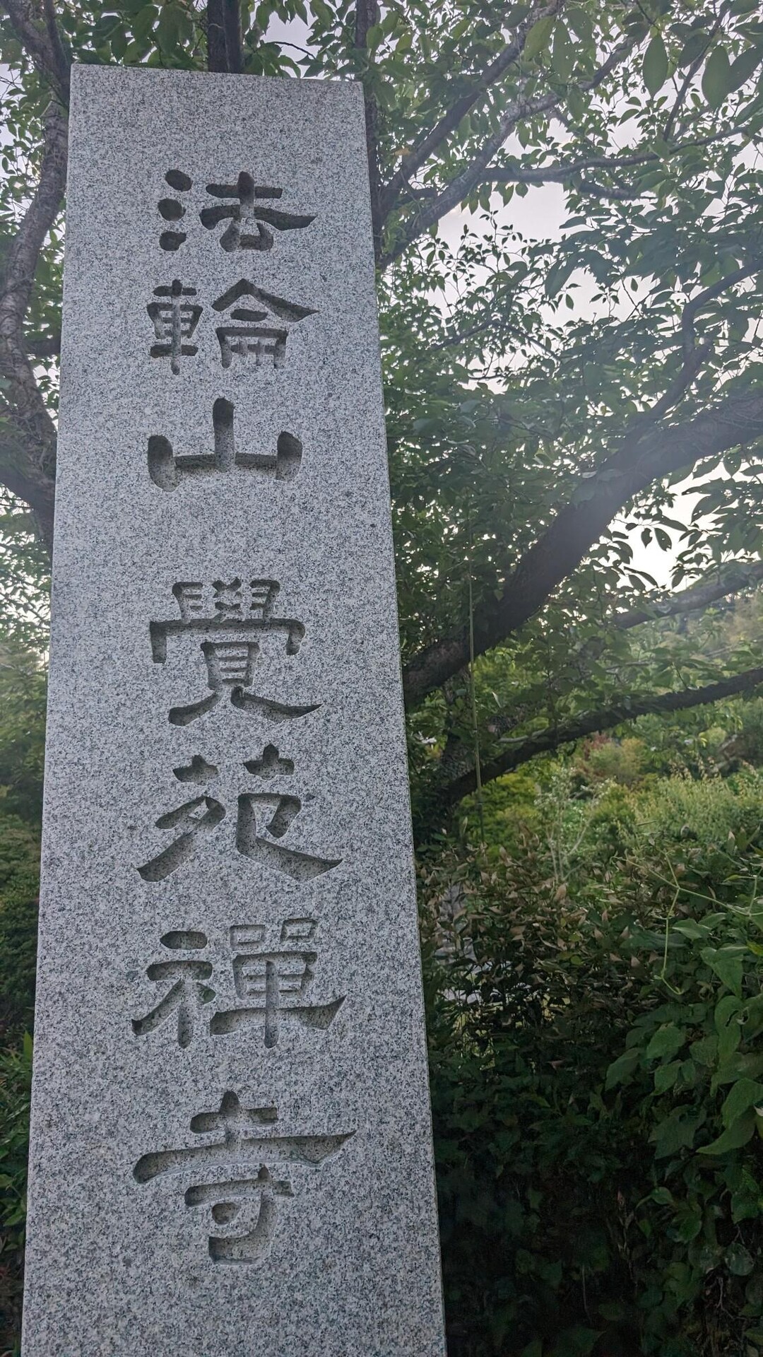 ラ·ム−＆覚苑寺山~おかわり / k501さんの勝山・四王司山の活動データ | YAMAP / ヤマップ