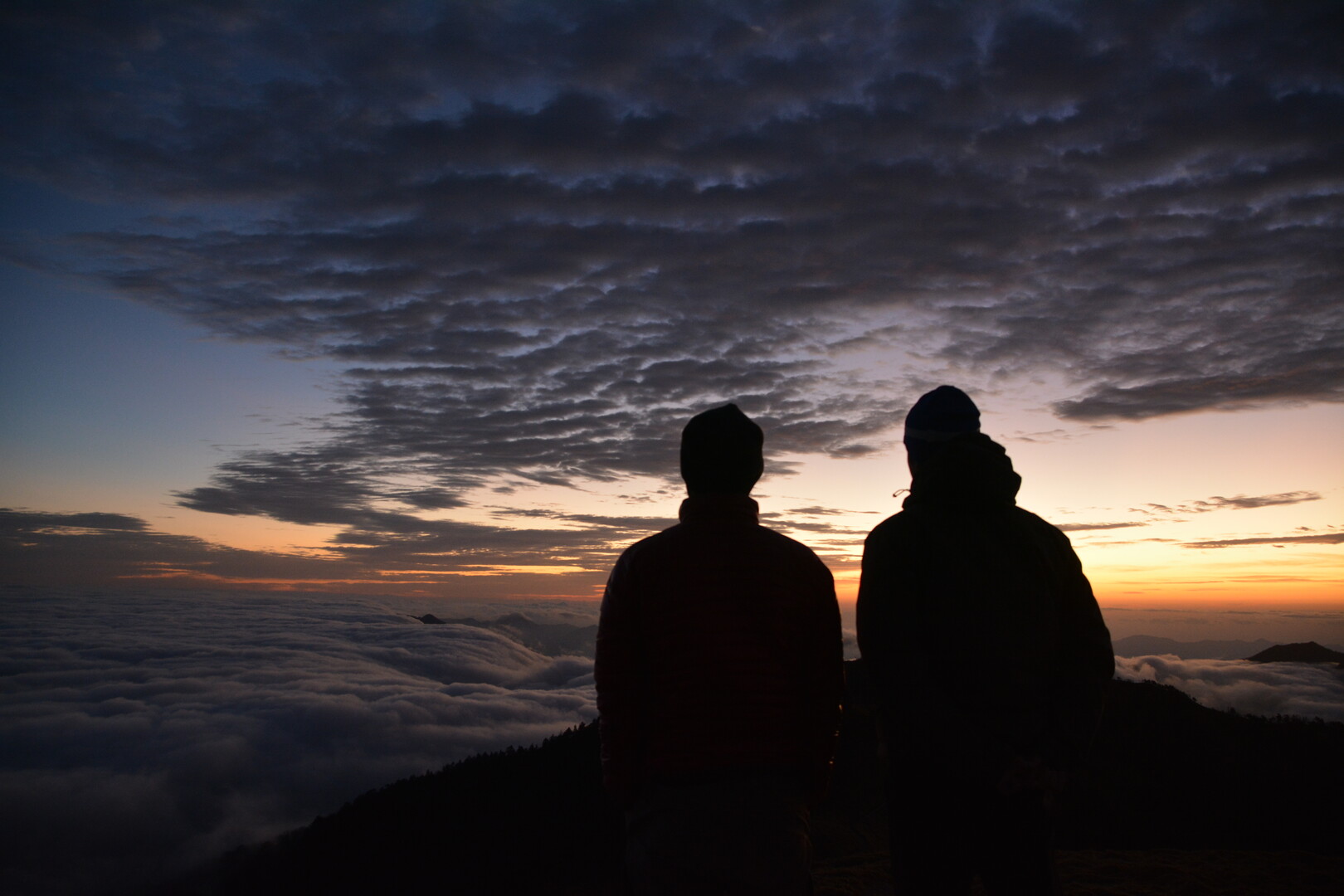 剣山日の出アタック、素晴らしい雲海に出会った～ジロウギュウ往復 / 51-GOGOさんの剣山の活動データ | YAMAP / ヤマップ