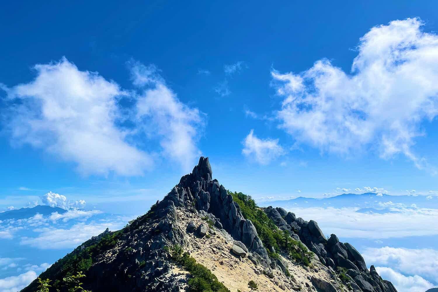 「YAMAPオリジナル2025トレイルカ... / YAMAP STOREさんのモーメント | YAMAP / ヤマップ