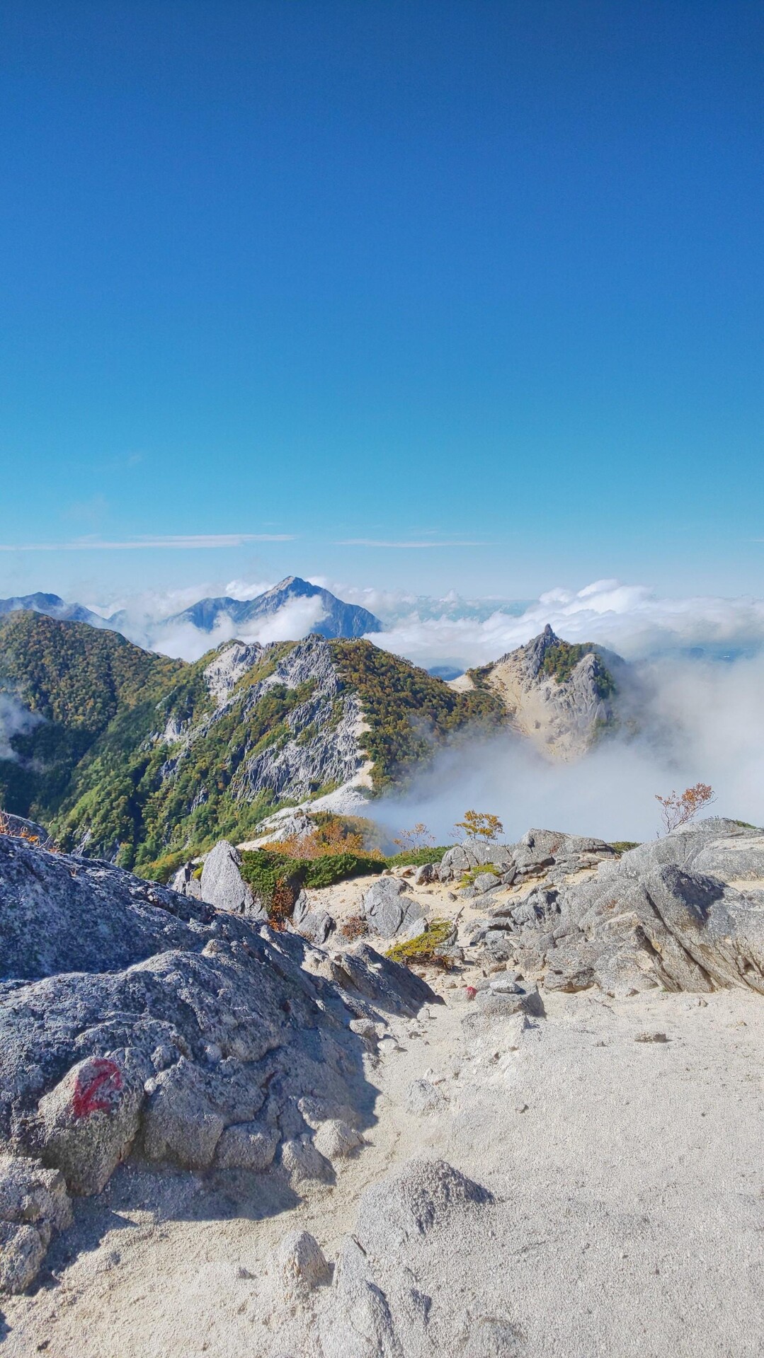 南アDebut！鳳凰三山☆☆☆地蔵岳・赤抜沢ノ頭・観音岳・薬師岳 / Sunちゃん0315さんの鳳凰山・地蔵岳・観音岳・薬師岳の活動データ | YAMAP / ヤマップ