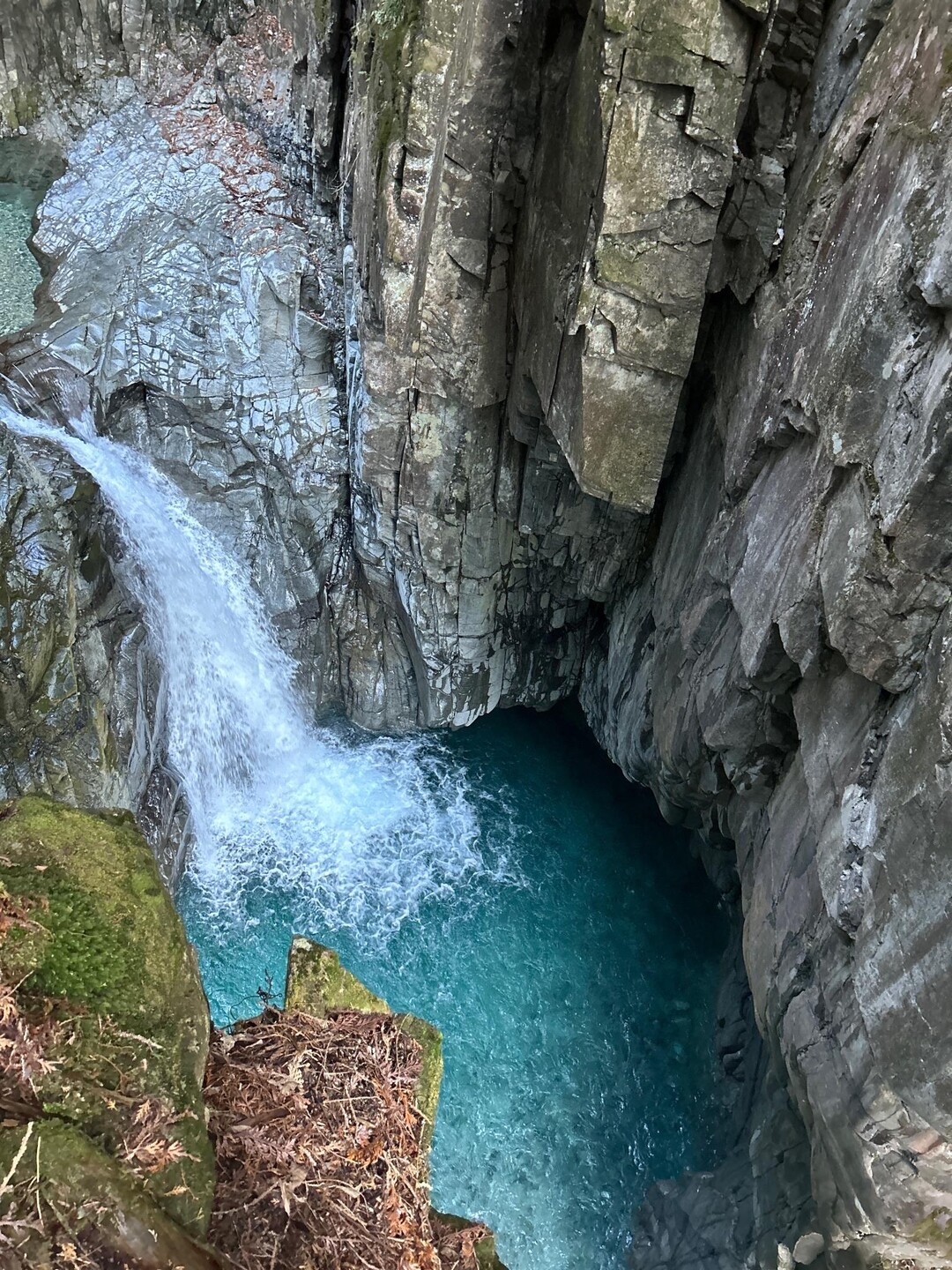 今日はTAKIP‼️😆 奥三界岳・夕森山-2023-12-29 / ぷーさん5646さんの奥三界岳・夕森山の活動日記 | YAMAP / ヤマップ