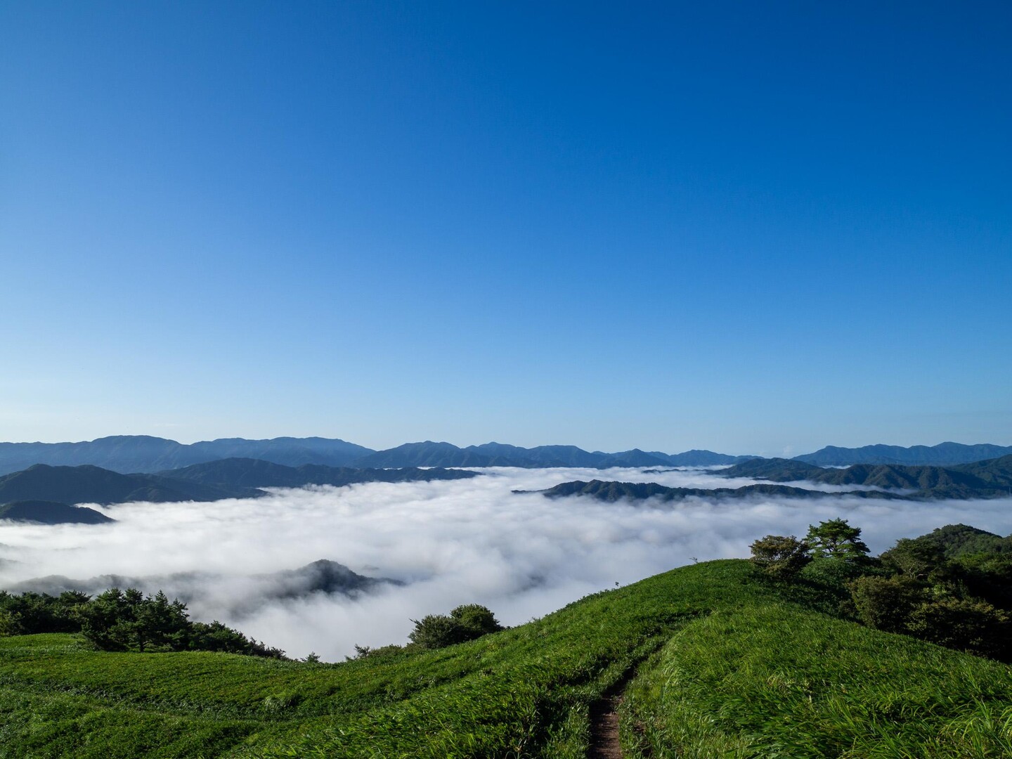 下蒜山 / tomiさんの蒜山の活動データ | YAMAP / ヤマップ