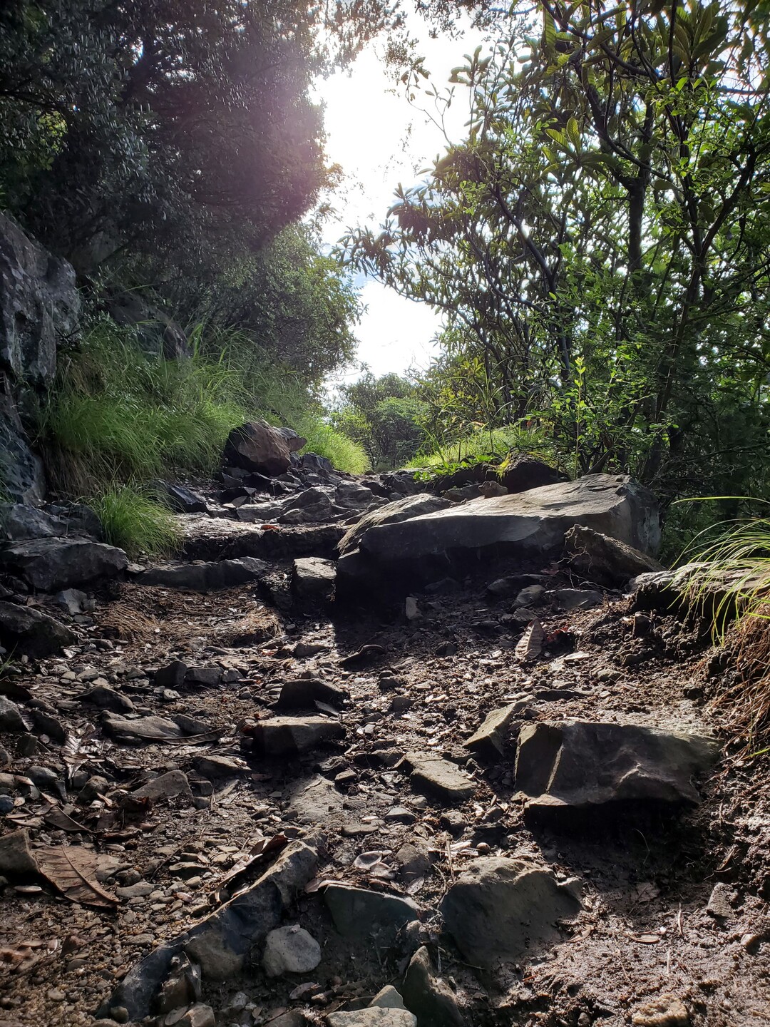 2021.06.24(木) 05:52 / よっしーさんのモーメント | YAMAP / ヤマップ