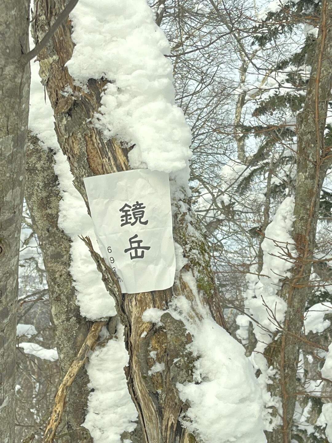 お初の鏡岳 / tar_cyさんの班渓幌内山・丸子山・神居山の活動データ | YAMAP / ヤマップ