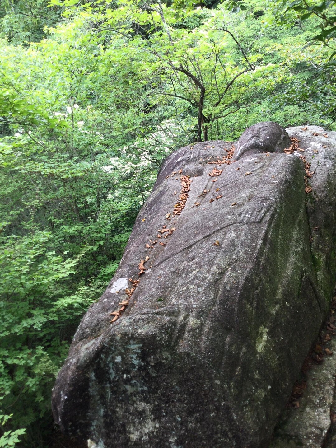 前袈裟丸山 塔の沢コース / Nboxさんの皇海山・袈裟丸山・庚申山の活動データ | YAMAP / ヤマップ