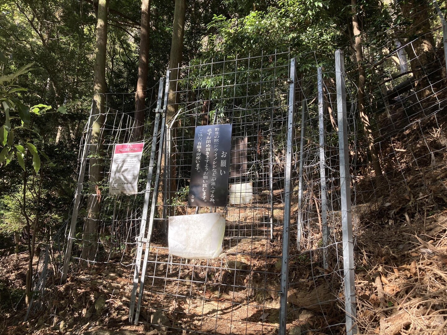 kazz309さんの投稿したフィールドメモ | YAMAP / ヤマップ