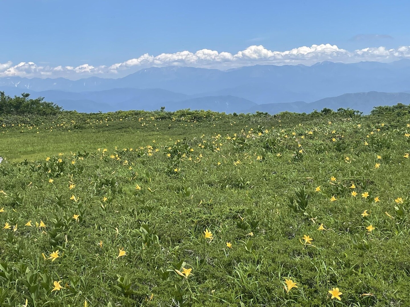 映えスポットしかなくない？サクッと白木峰 / ジャーさんさんの白木峰・小白木峰の活動日記 | YAMAP / ヤマップ
