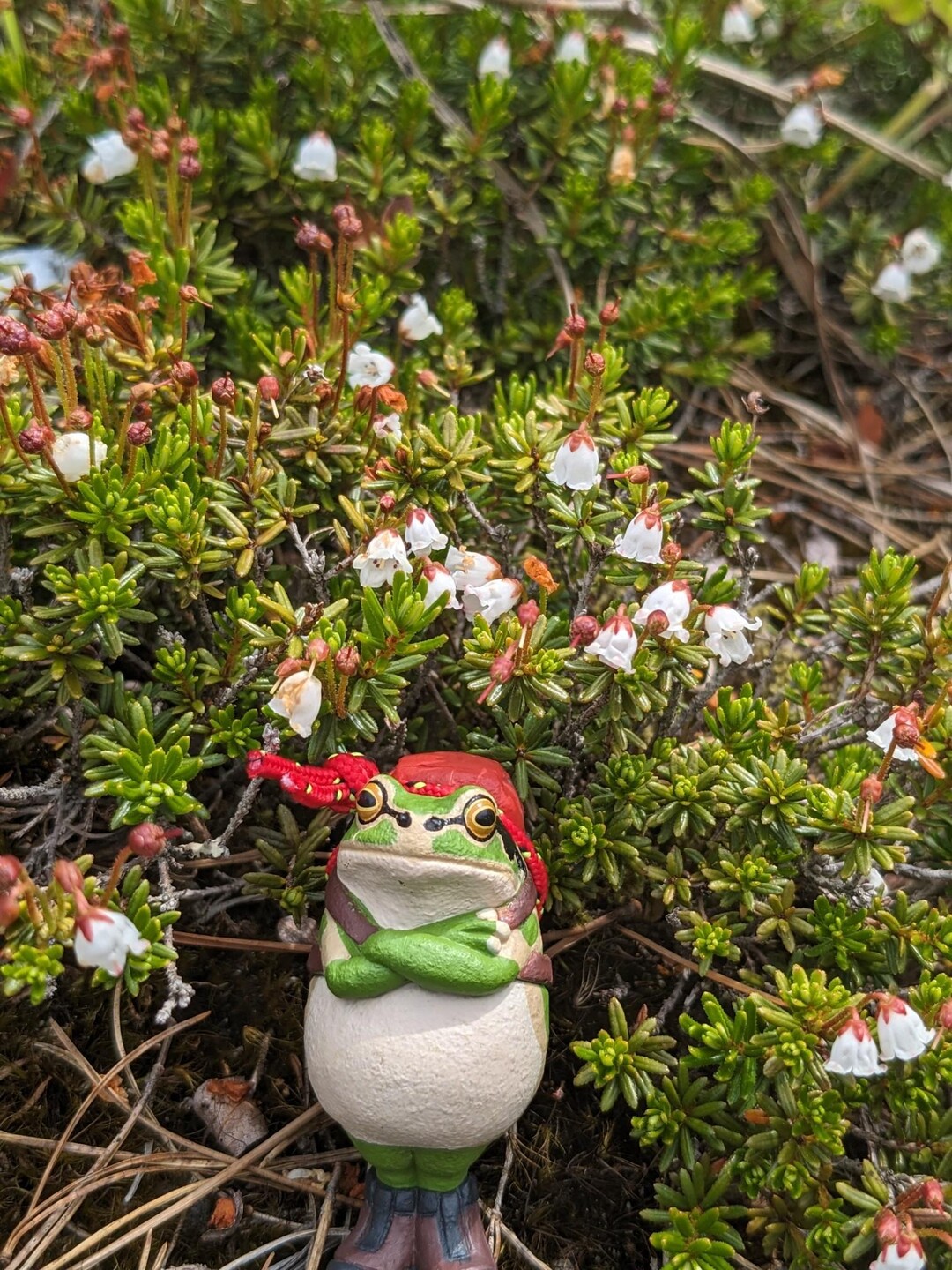 銅山峰・東山・西赤石山 / h3さんの東赤石山・西赤石山・物住頭の活動データ | YAMAP / ヤマップ