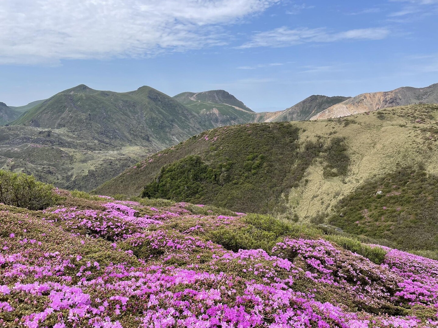 三俣山 R6.6.1 / FcBanzai!!さんの九重山（久住山）・大船山・星生山の活動日記 | YAMAP / ヤマップ