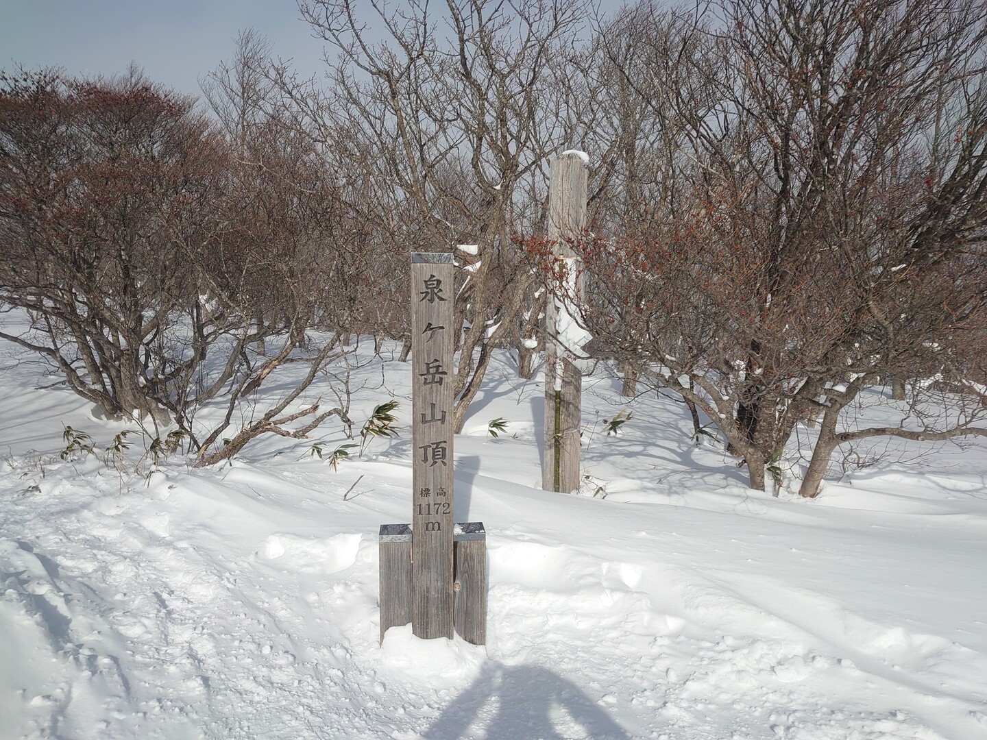 雪山登山・泉ヶ岳に行きました！ / tomohさんの船形山（御所山）・泉ヶ岳・蛇ヶ岳の活動データ | YAMAP / ヤマップ