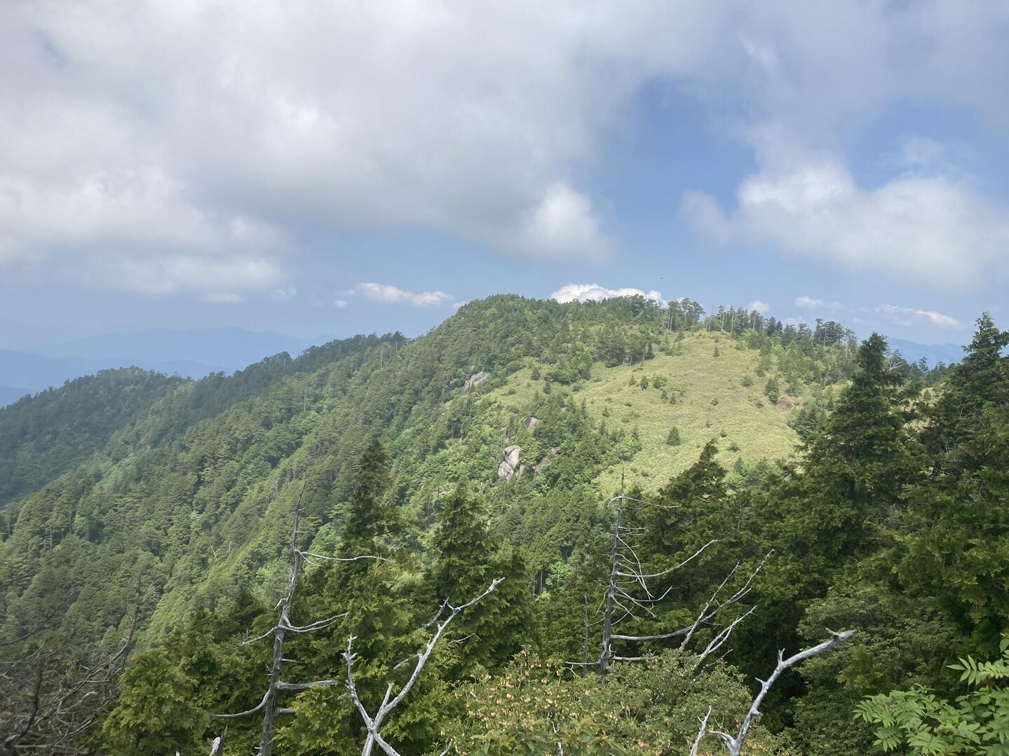 南木曽岳-2023-06-19 / yasuさんの南木曽岳の活動データ | YAMAP / ヤマップ