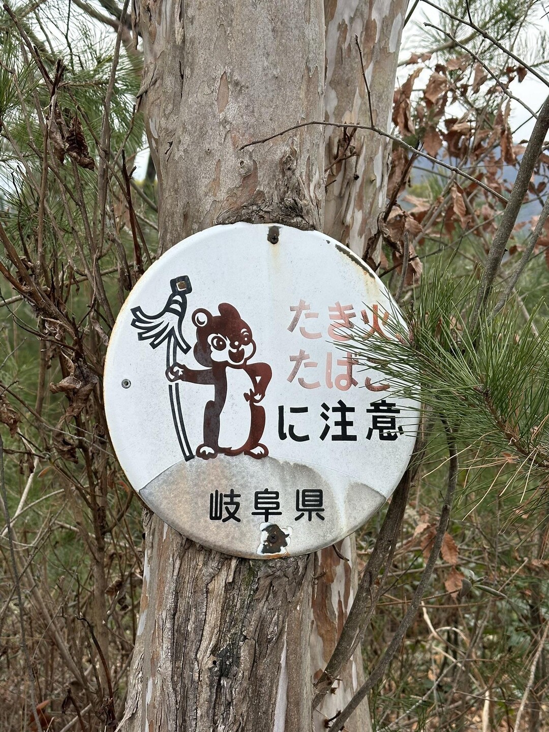 金比羅山・明王山・勝山・迫間山 2024-01-03 / snowyさんの各務原アルプス（関南アルプス）・八木三山の活動データ | YAMAP / ヤマップ