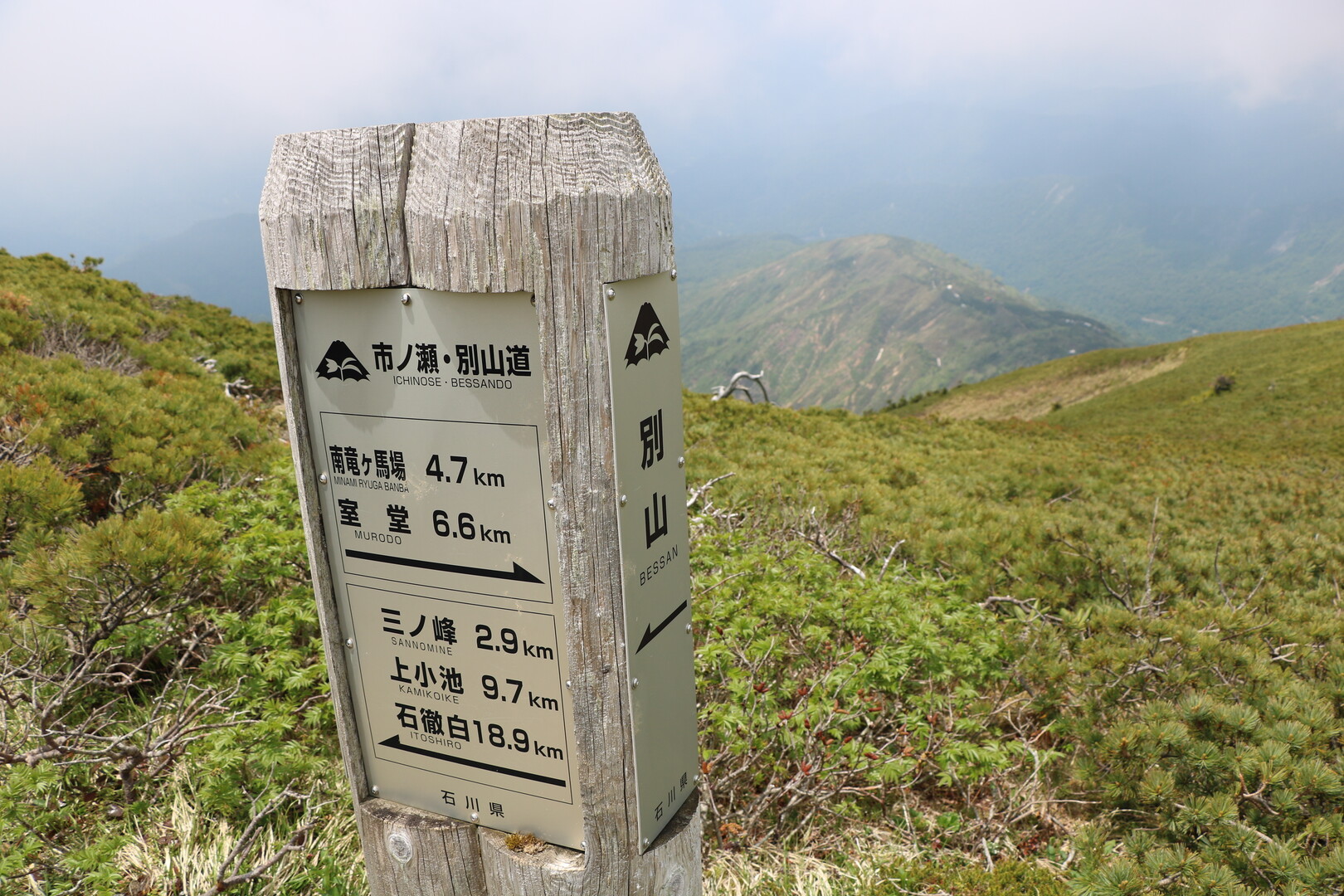 三ノ峰から別山へ / 白山・別山・銚子ヶ峰の写真34枚目 / 下山します 9.7km...そこまではな | YAMAP / ヤマップ