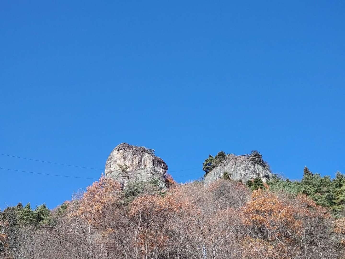 嵩山（大天狗） / a-ziさんの嵩山の活動データ | YAMAP / ヤマップ