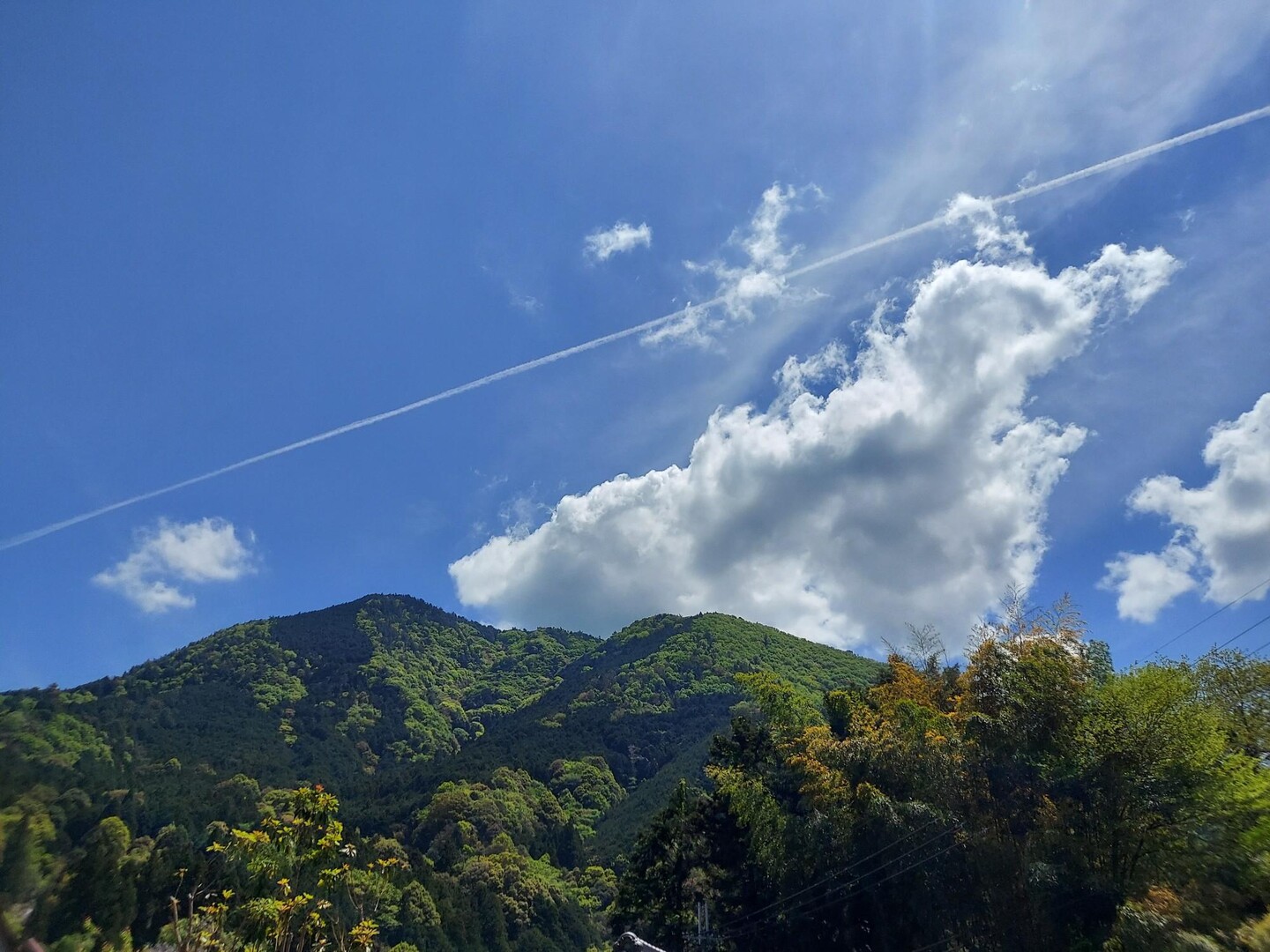 槇尾山～岩湧山 / ree-koさんの槇尾山（槙尾山）・和泉葛城山・神於山の活動データ | YAMAP / ヤマップ