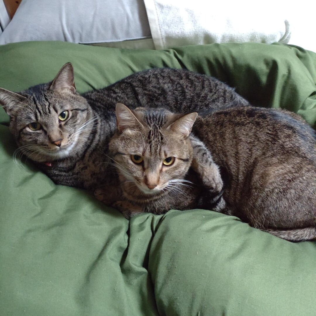 GAKUのページ | YAMAP / ヤマップ