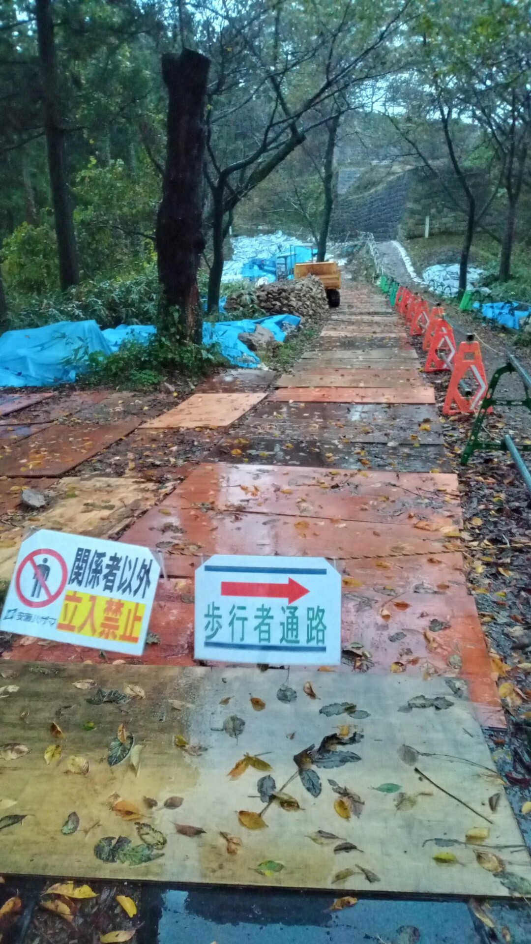 夕暮れの臥牛山（お城山）🏯🌇 / HUSTLERさんの村上市（村上地区）の活動データ | YAMAP / ヤマップ