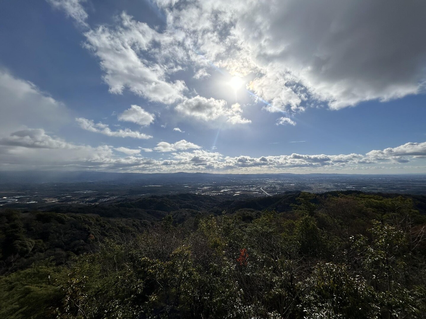 猿投山 / mamiさんの猿投山・物見山の活動データ | YAMAP / ヤマップ