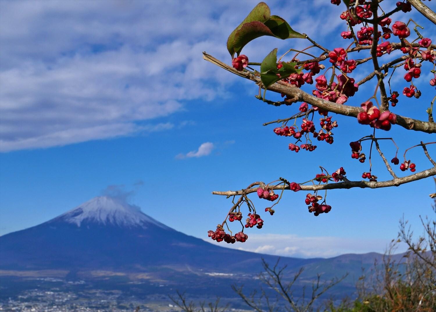 🍂晩秋@金時山 / co@chさんの金時山・明神ヶ岳の活動データ | YAMAP / ヤマップ